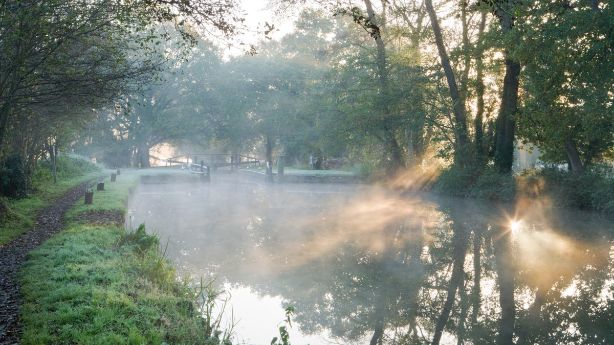 River Wey & Godalming Navigations │ Surrey | National Trust