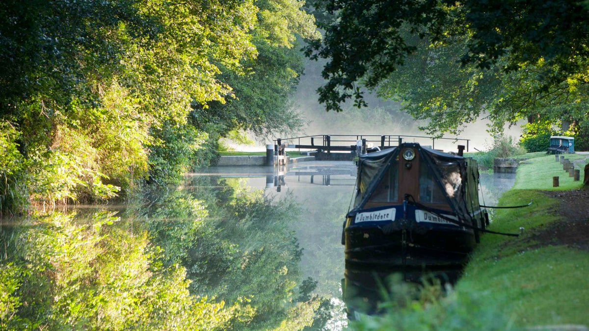 Boats on the River Wey | Surrey | National Trust