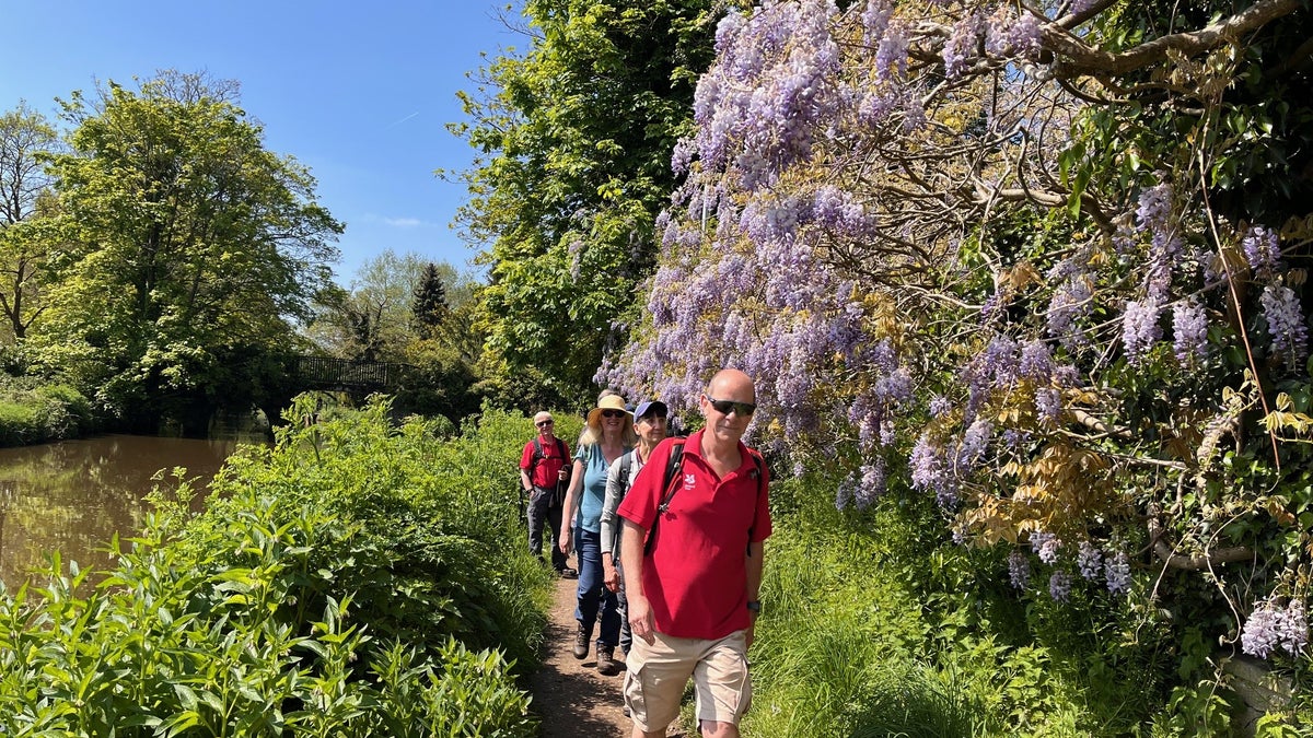 River Wey walks Surrey | National Trust
