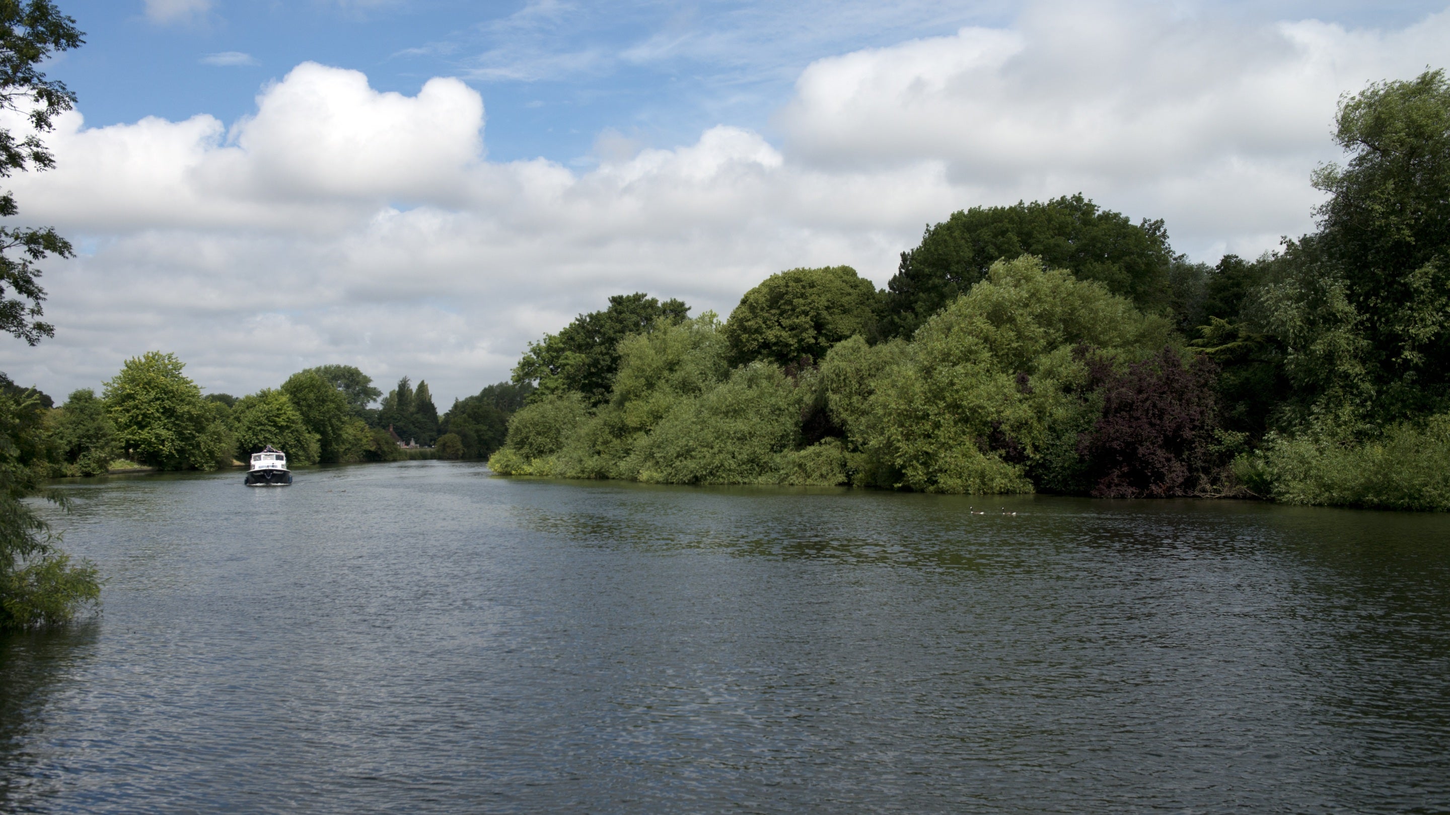 History of Magna Carta at Runnymede |Surrey | National Trust