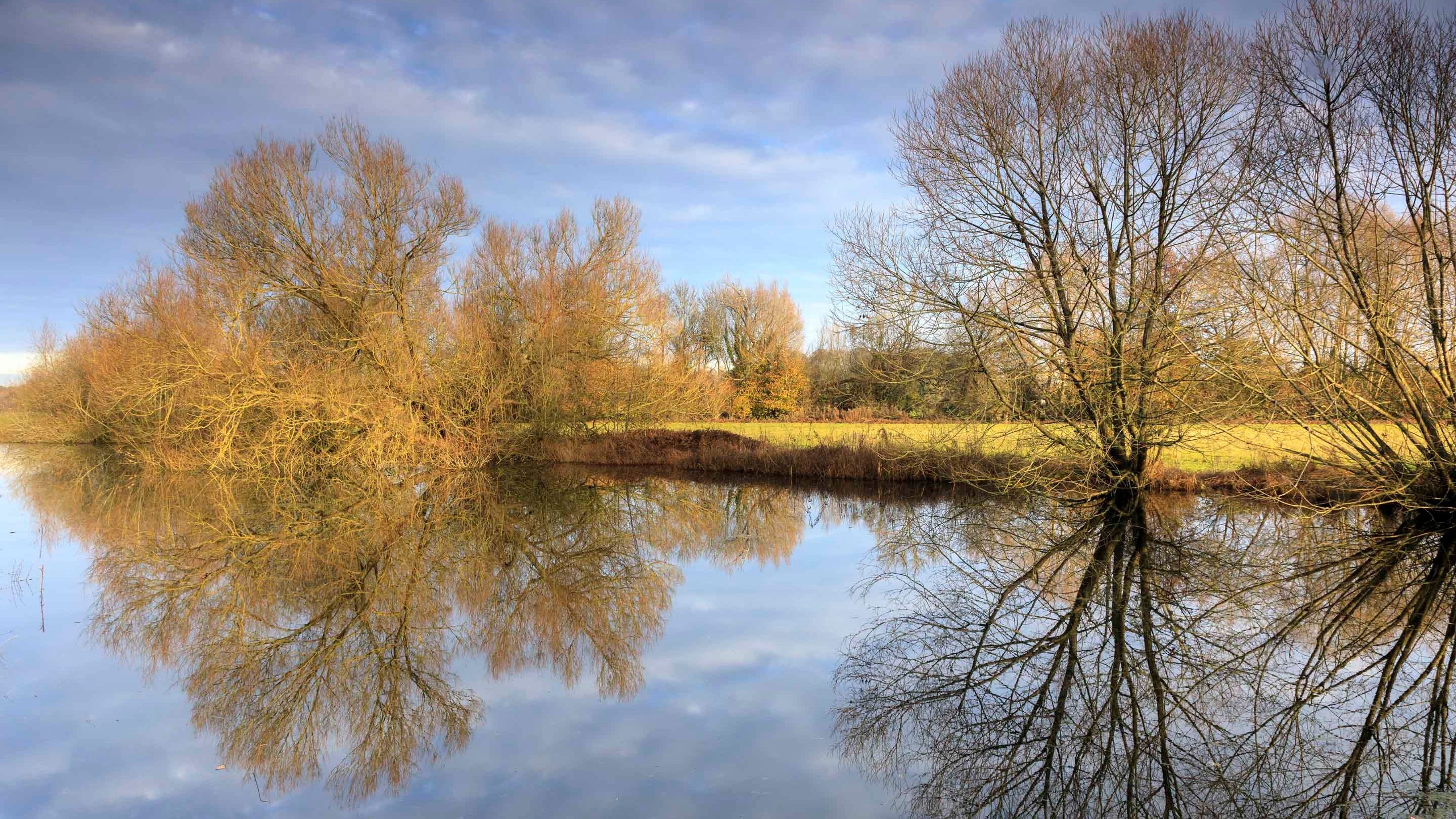 Country and Forest Walks in the UK | National Trust