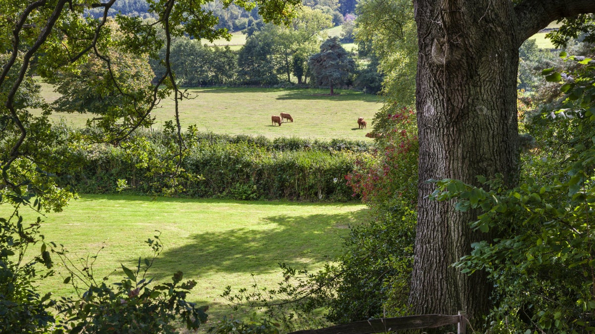Kipling's walk around Bateman's| Sussex | National Trust