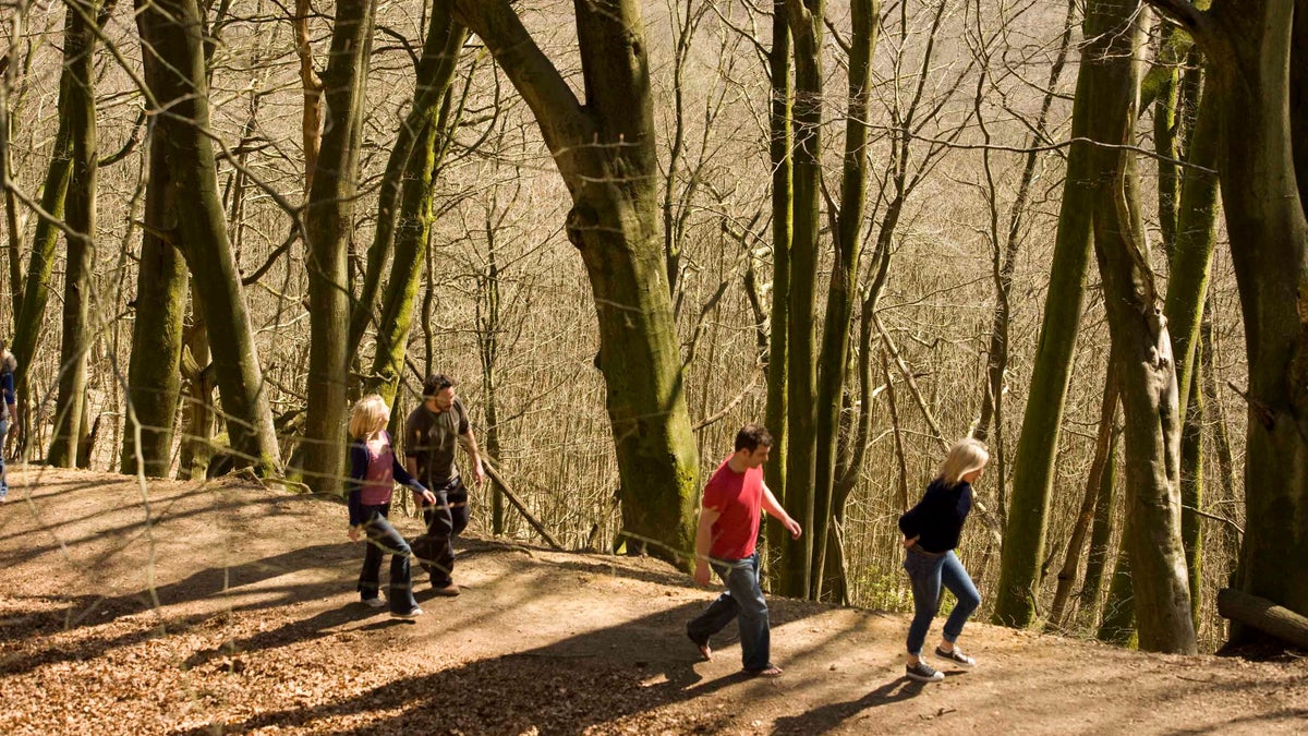 Visiting Black Down | Sussex | National Trust