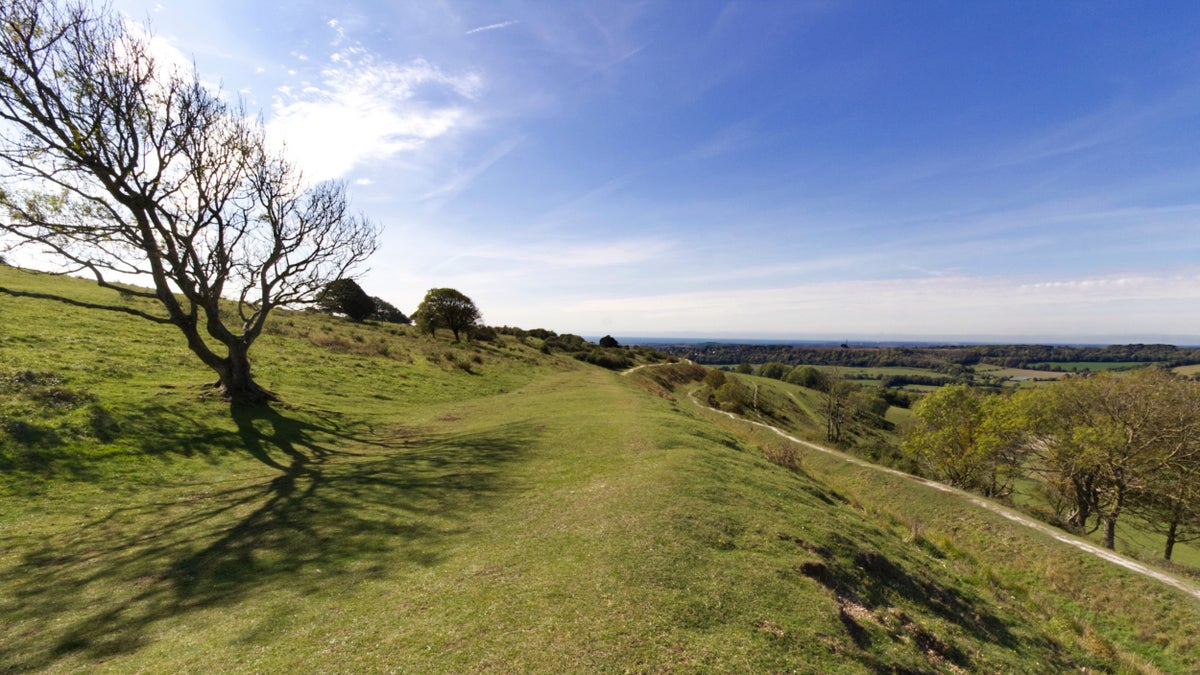 Cissbury Ring | Sussex | National Trust
