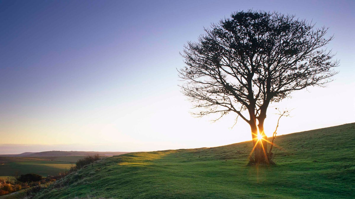 Cissbury Ring's history | Sussex | National Trust