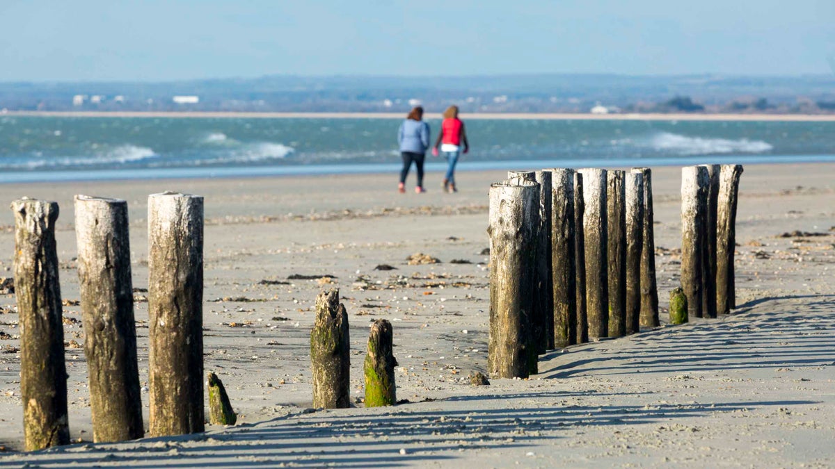 Exploring East Head | Sussex | National Trust