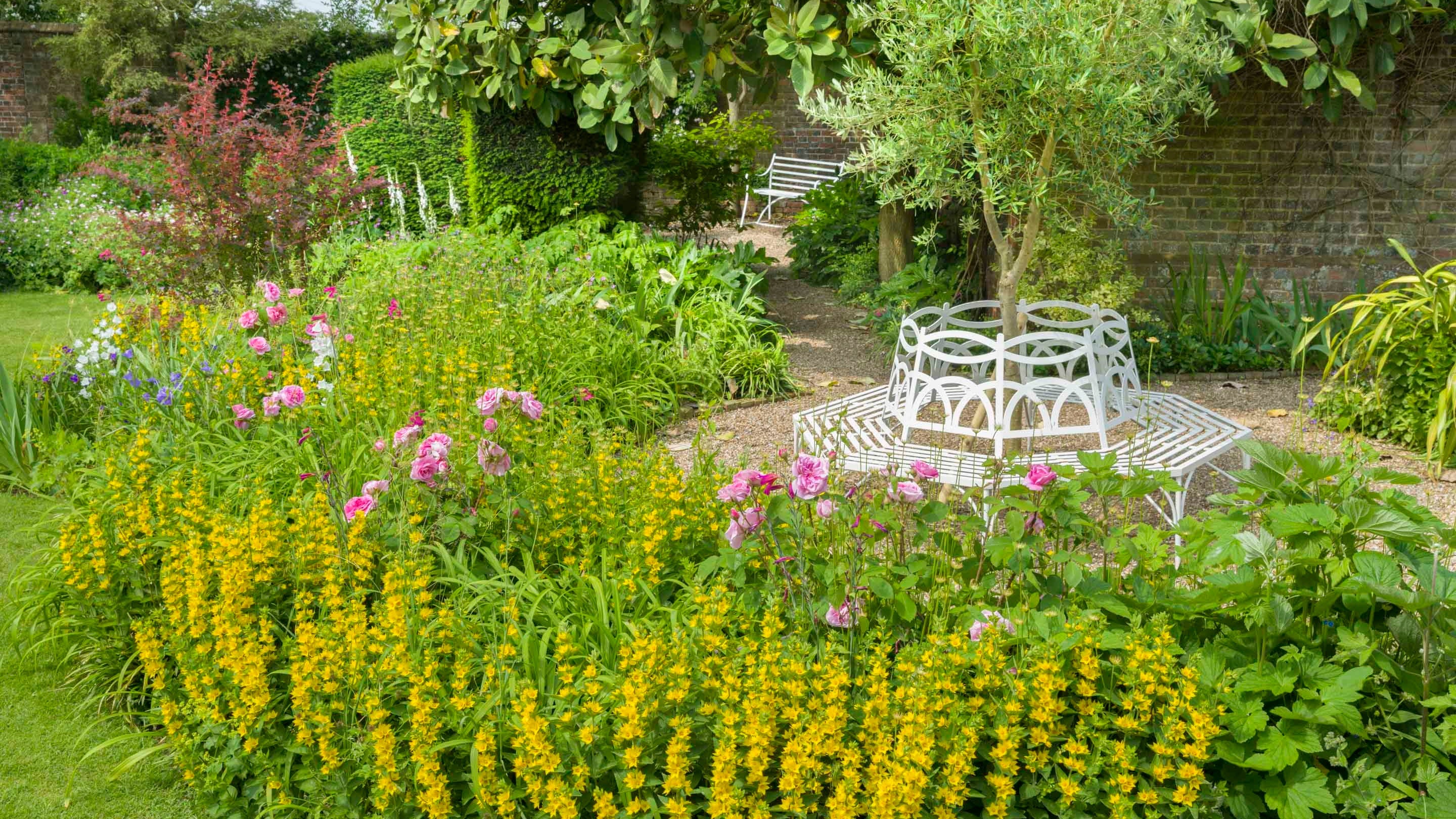 The garden at Lamb House | E Sussex | National Trust