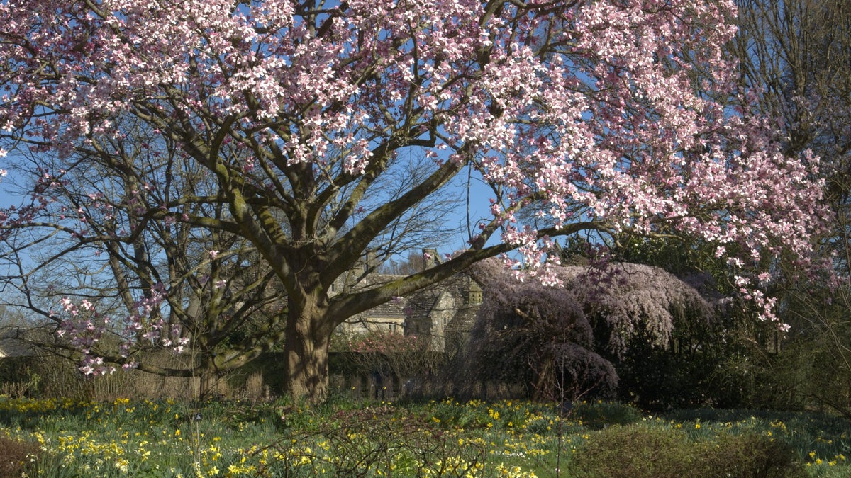 Nymans | West Sussex | National Trust