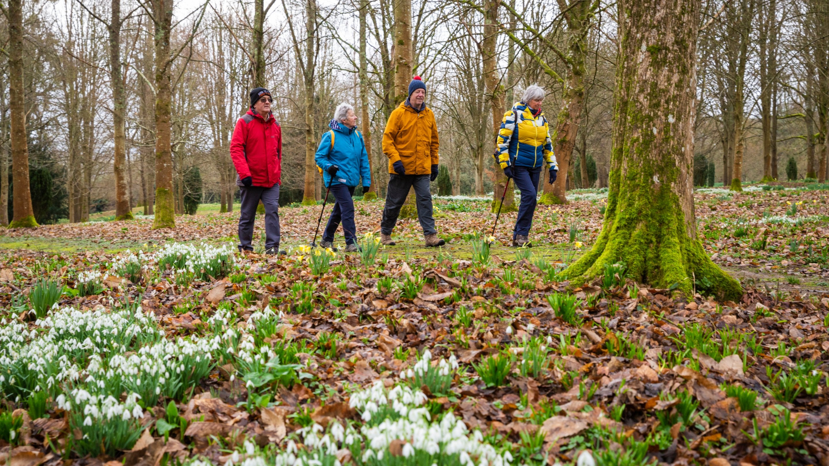 Family days out | Midlands | National Trust