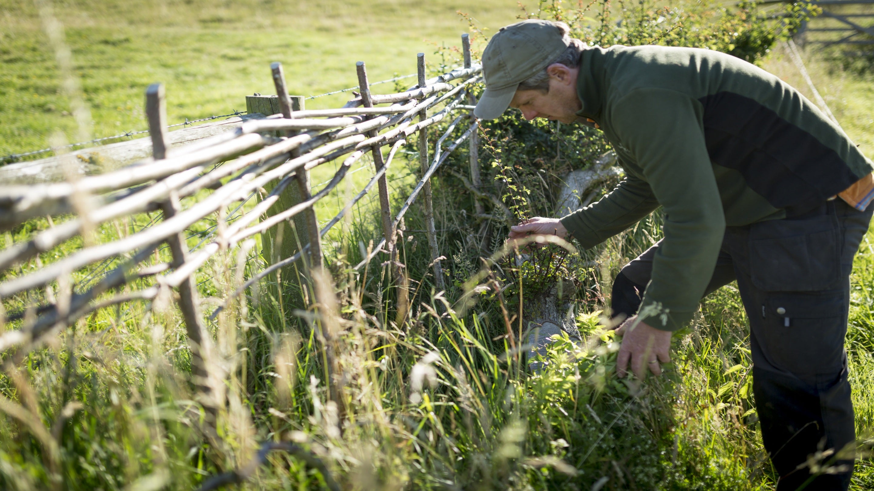 Residential and farm lettings | National Trust