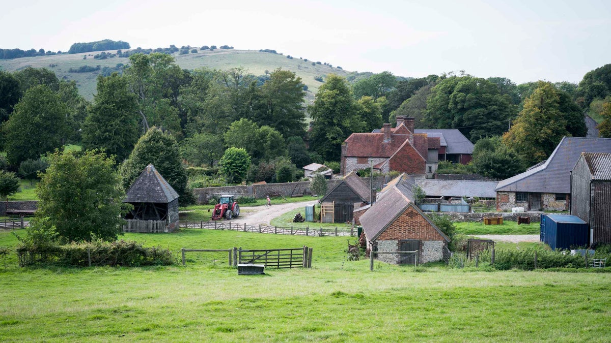The history of Saddlescombe Farm | Sussex | National Trust
