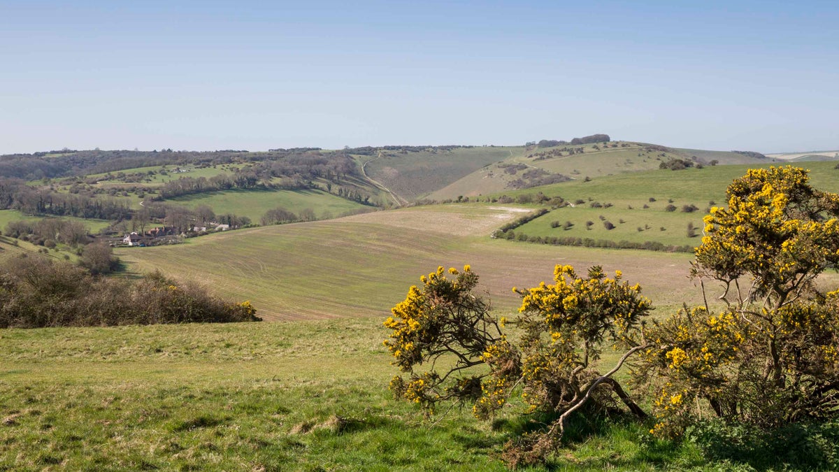 Saddlescombe Farm and Newtimber Hill | National Trust