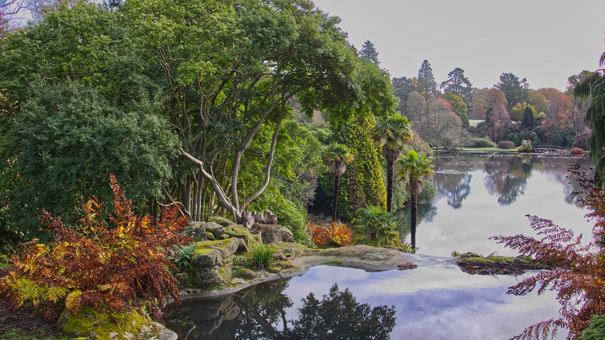 Sheffield Park and Garden | Sussex | National Trust