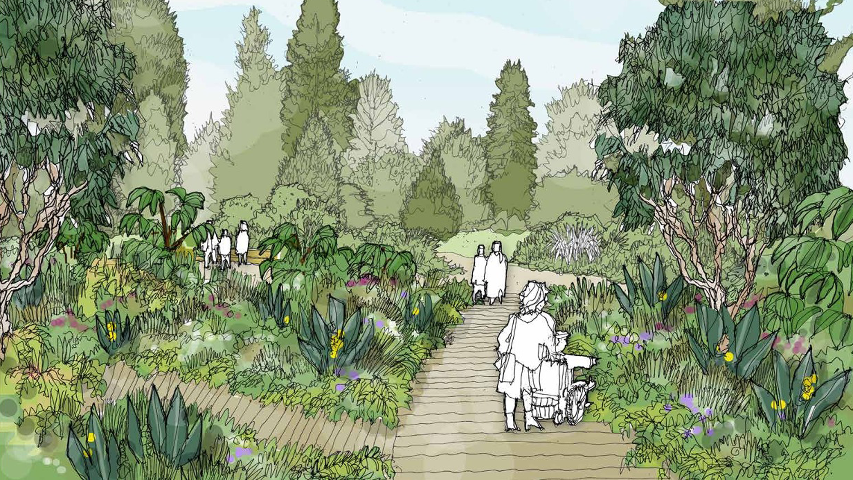 A garden for the future at Sheffield Park | National Trust