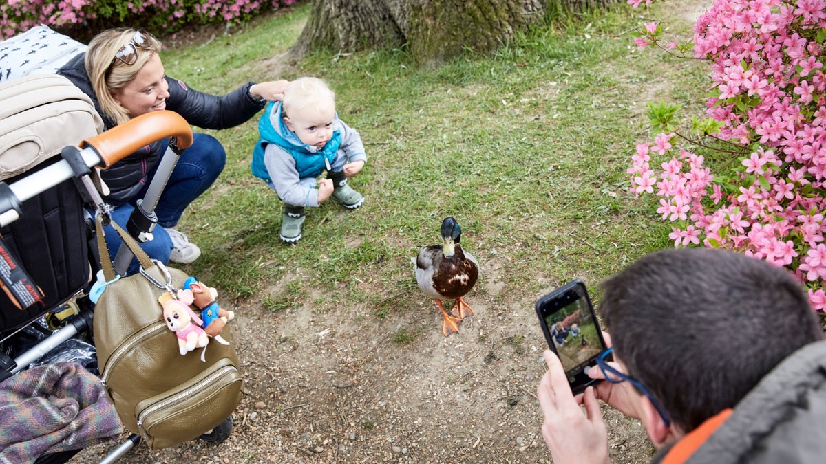 Days out with kids at Sheffield Park | National Trust