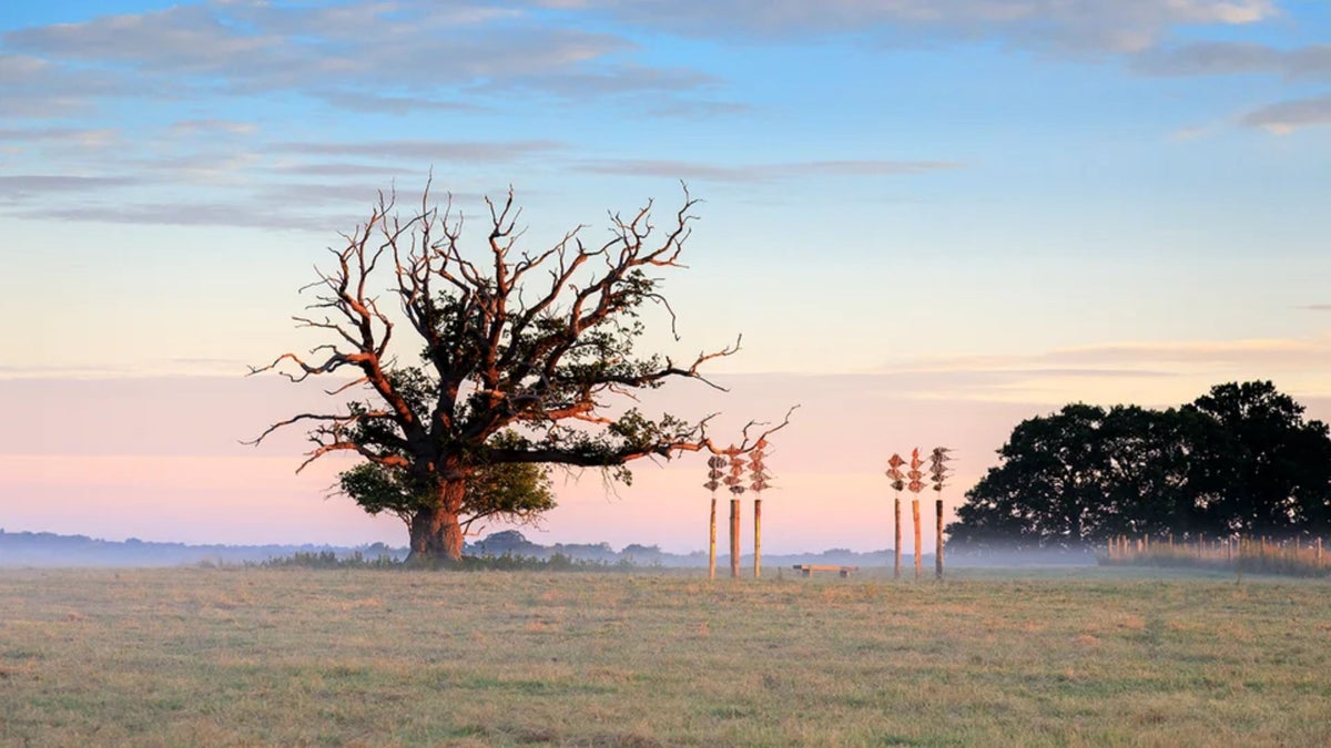 Sheffield Park & Garden parkland │E Sussex | National Trust