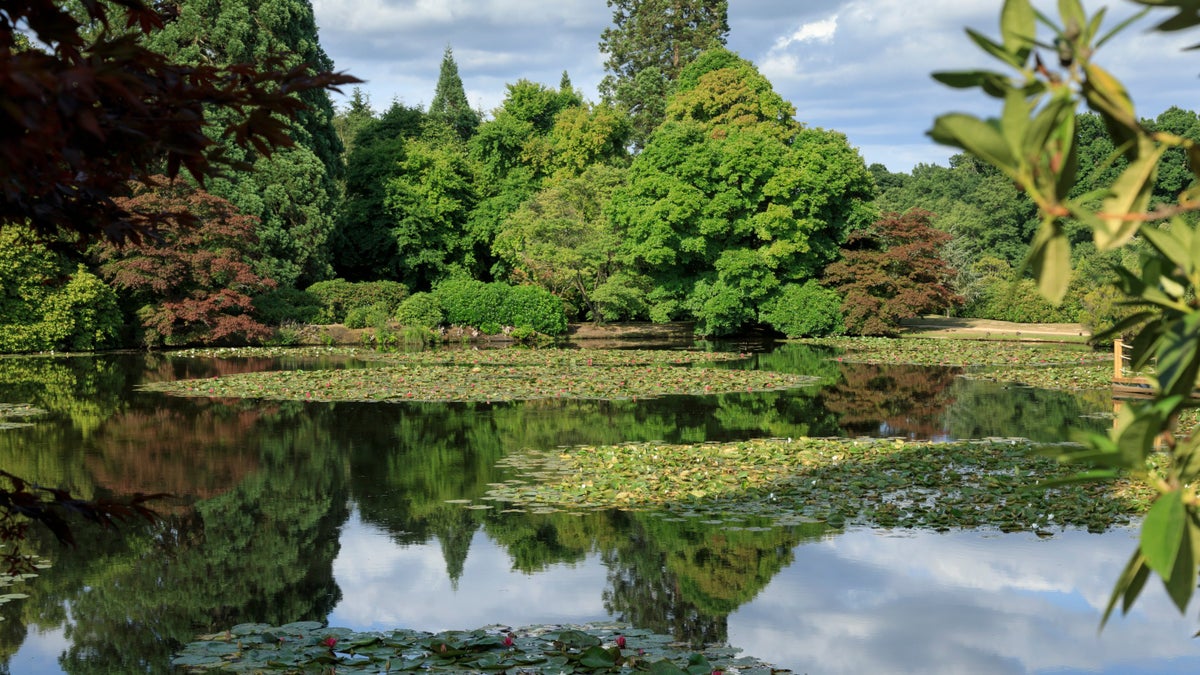 The garden at Sheffield Park │ E Sussex | National Trust