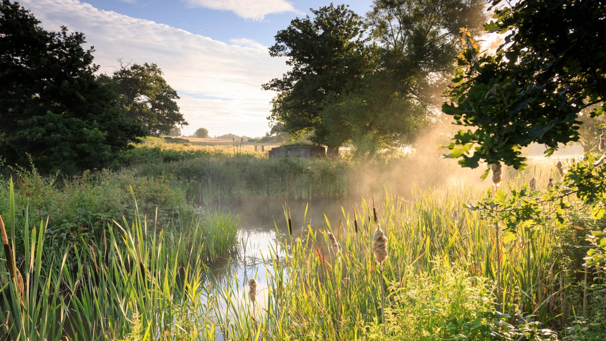 Sheffield Park & Garden parkland │E Sussex | National Trust