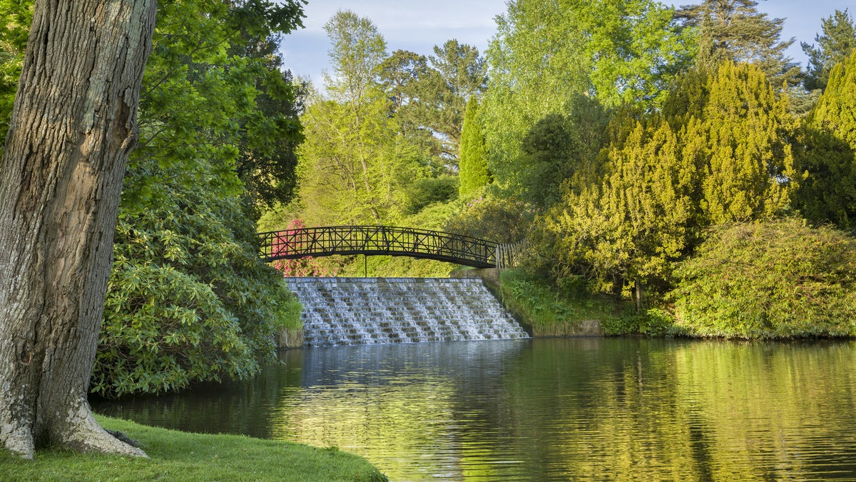 Group visits to Sheffield Park │ E Sussex | National Trust