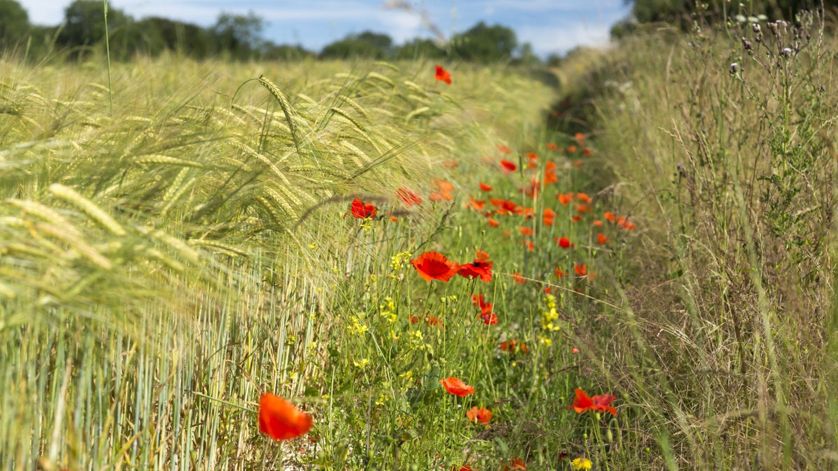 Visiting Slindon Estate| W Sussex | National Trust