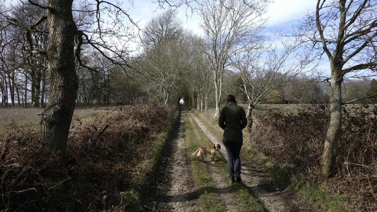 Slindon Estate | Sussex | National Trust