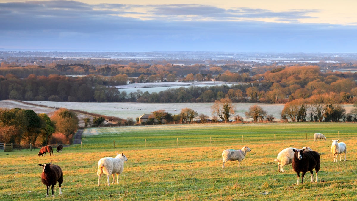 Slindon medieval park pale and village walk | National Trust
