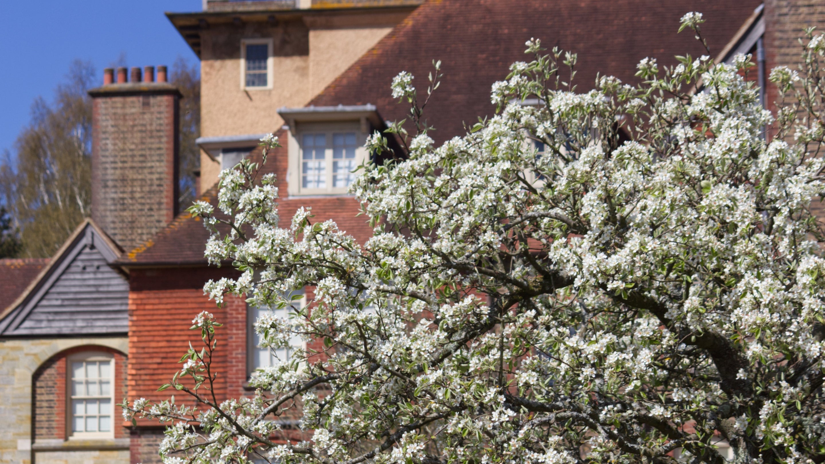 The garden at Standen | West Sussex | National Trust