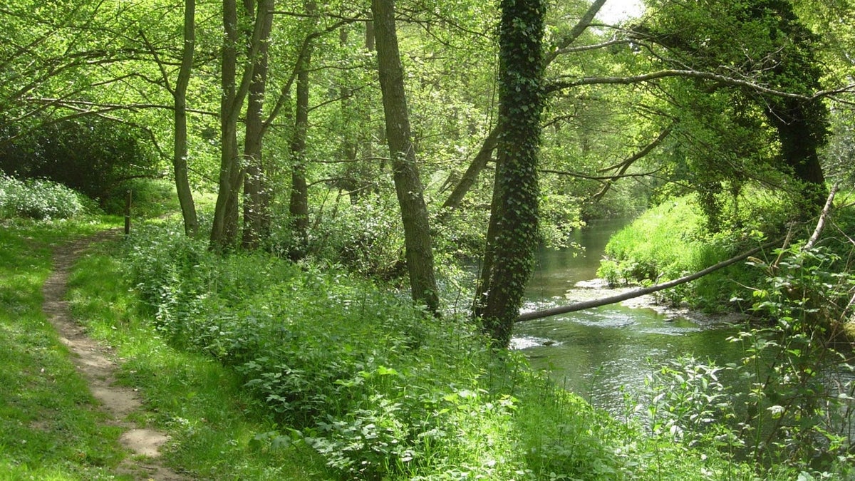 River Rother and Midhurst | Sussex | National Trust