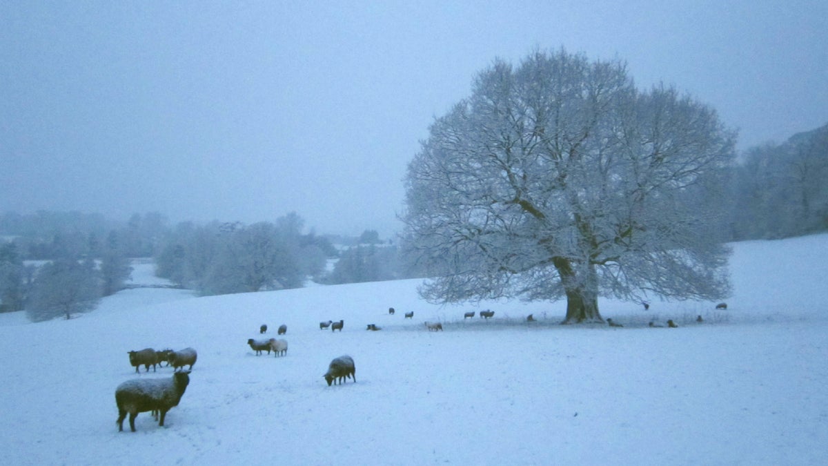 Woolbeding landscapes walk | Sussex | National Trust