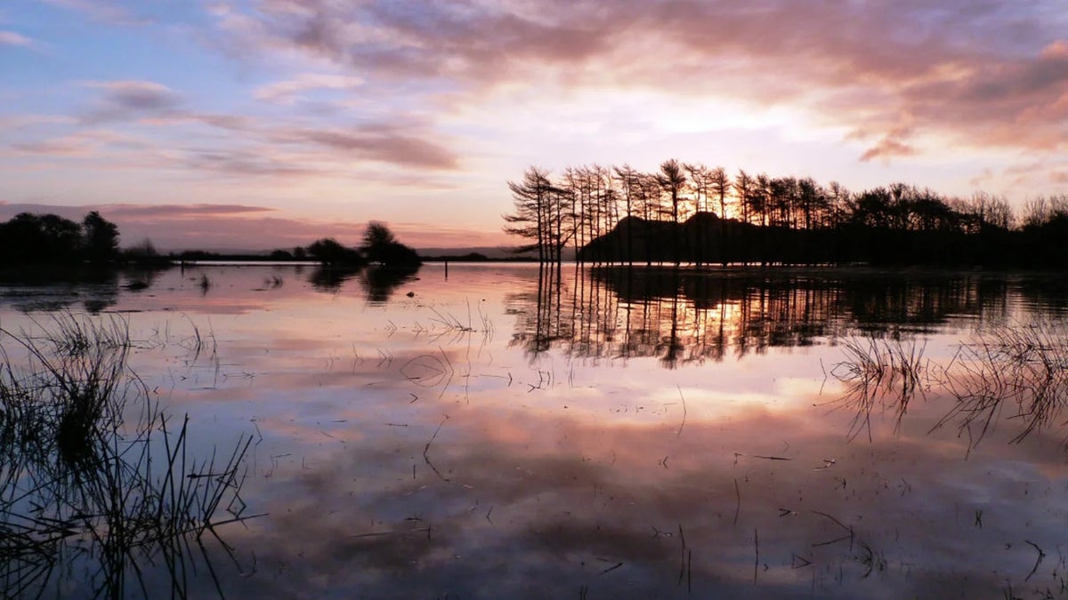 Exploring Cwm Ivy | North Gower | National Trust