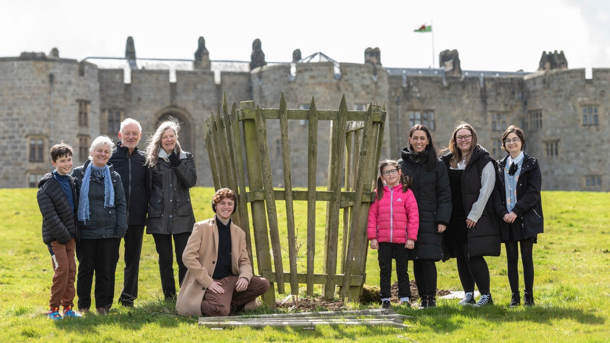 A rare sapling is planted at Chirk, Wrexham | National Trust