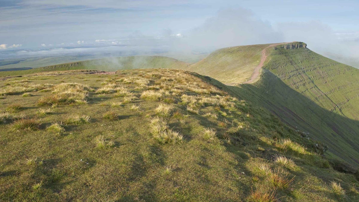 Visit Abergwesyn Commons|Wales | National Trust