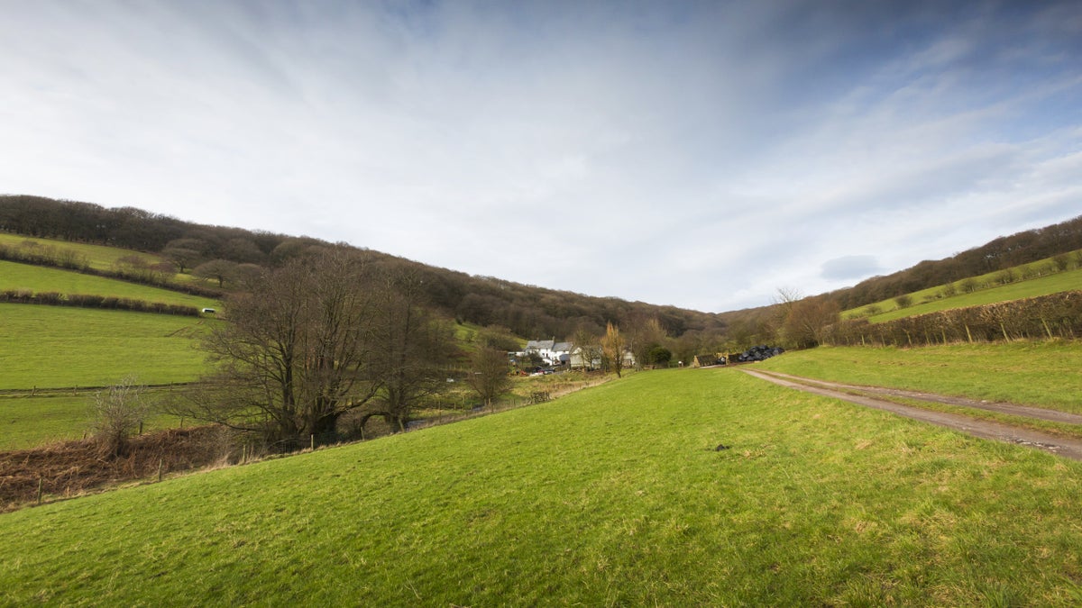 Clytha and Coed y Bwnydd walk | Wales | National Trust