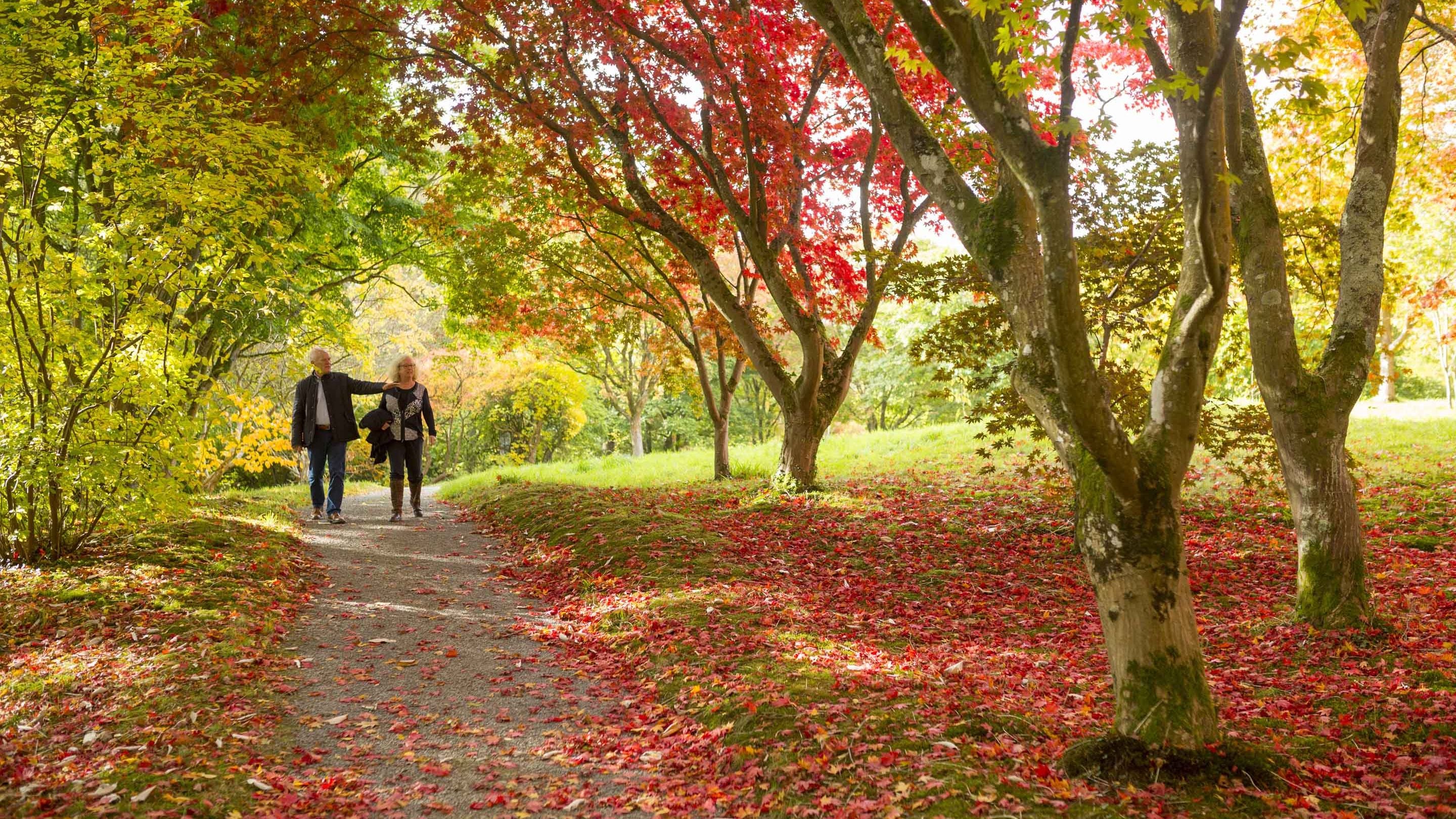Visiting Bodnant Garden | Conwy, Wales | National Trust