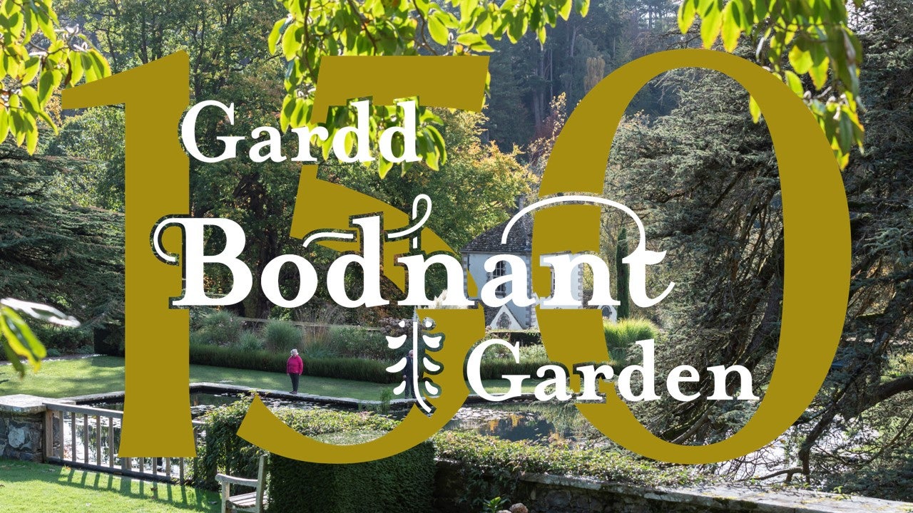 The history of Bodnant Garden|Wales | National Trust