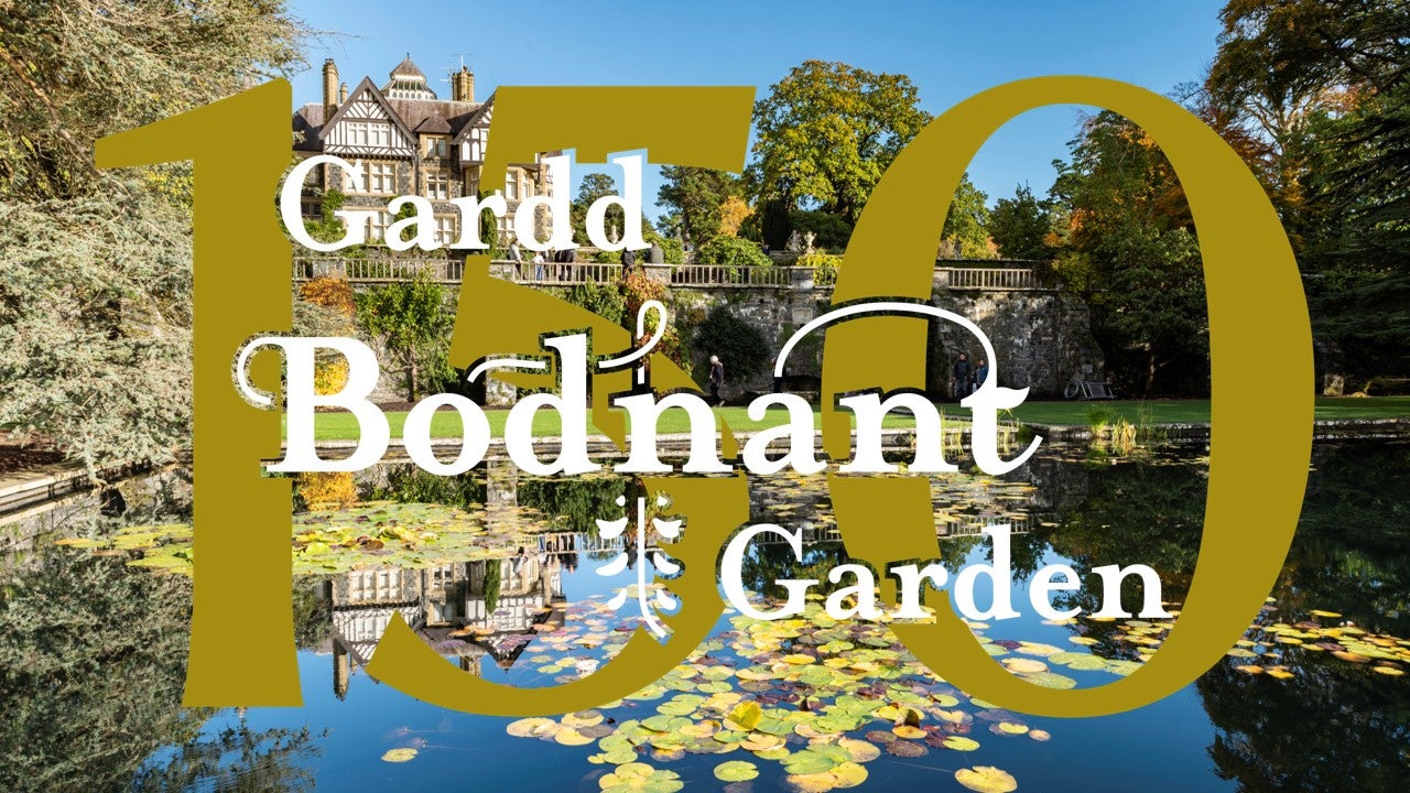 Visiting Bodnant Garden | Conwy, Wales | National Trust