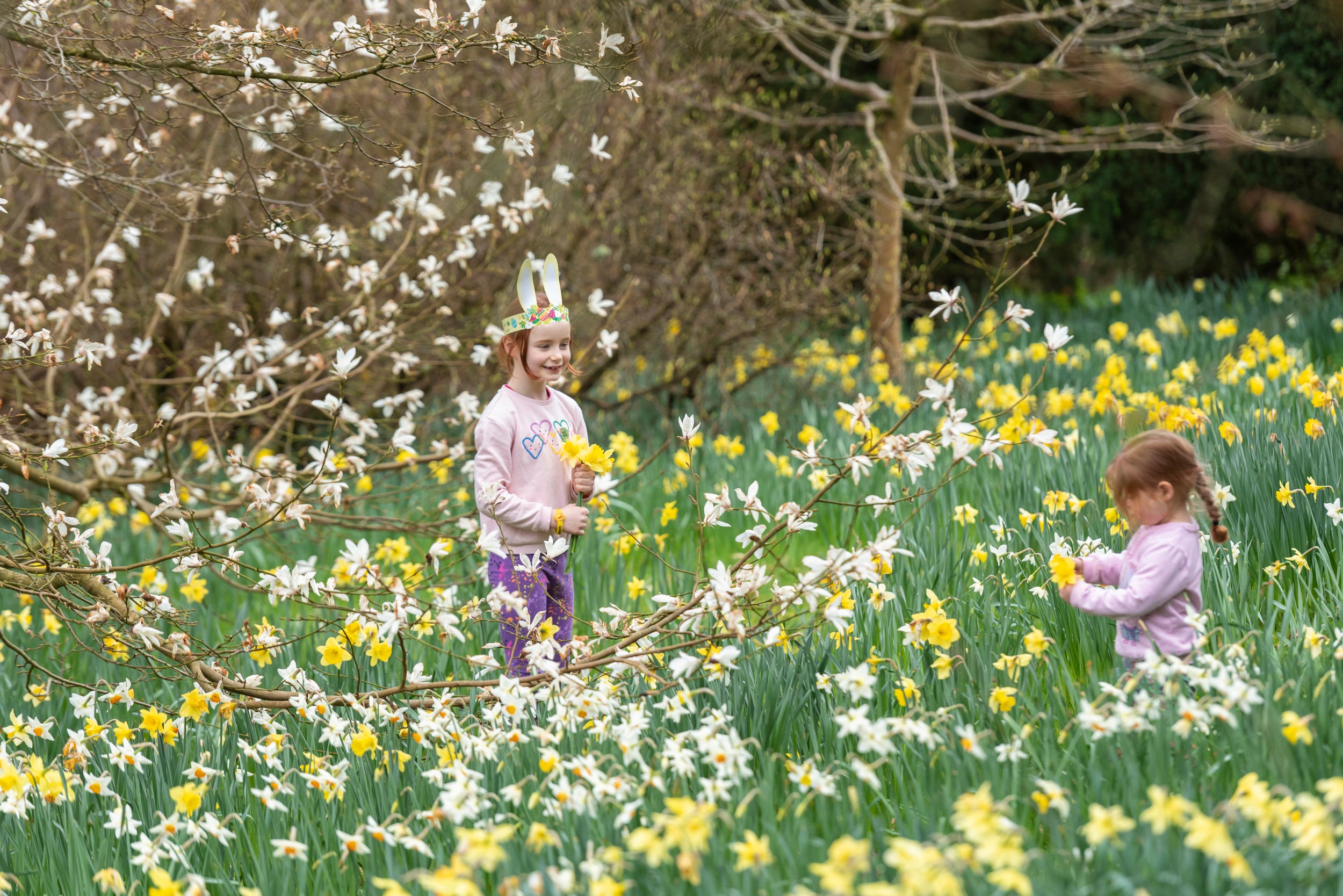 Family days out at Chirk Castle | National Trust