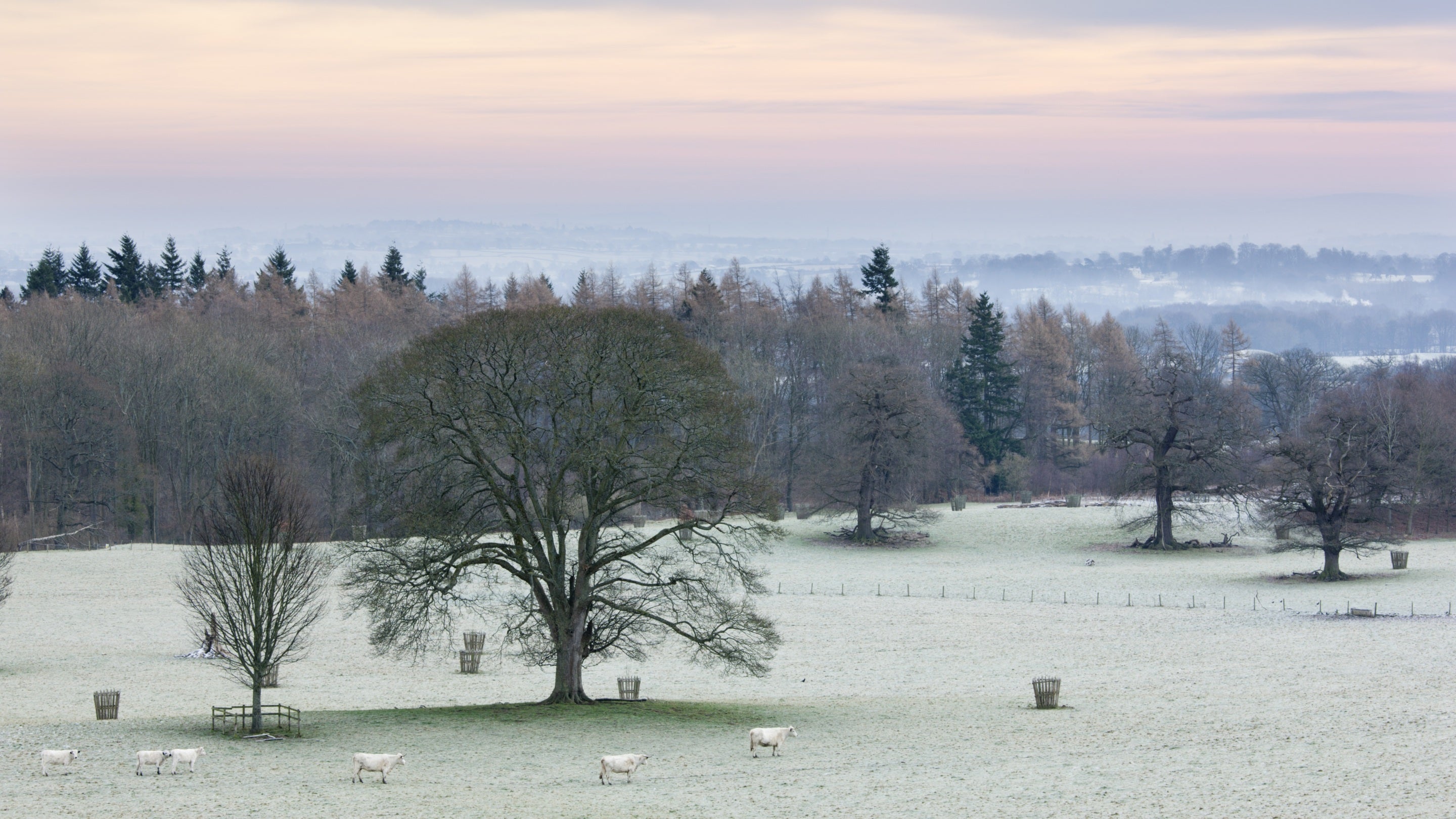 Explore Chirk Castle's estate | Wales | National Trust
