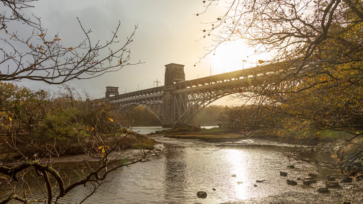 Discover Coed Môr | National Trust