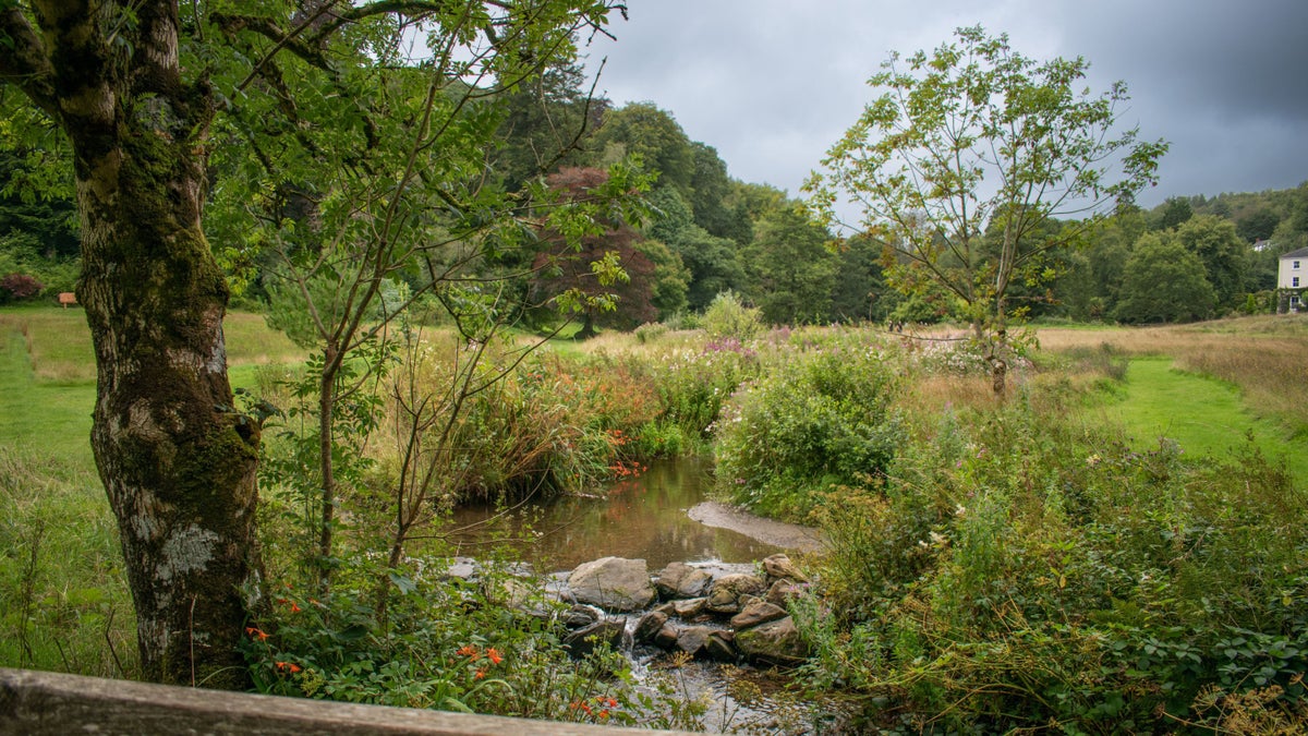 Visit the garden at Colby Woodland | Wales | National Trust