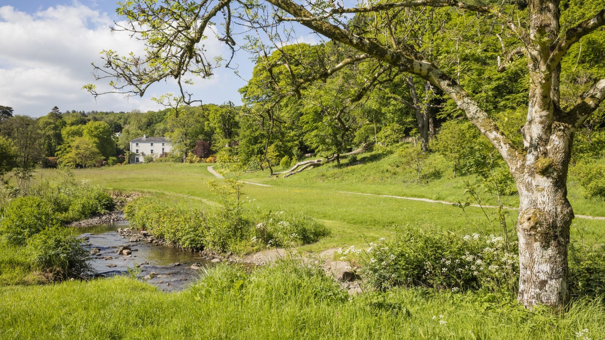 Top wildlife-friendly gardens | National Trust