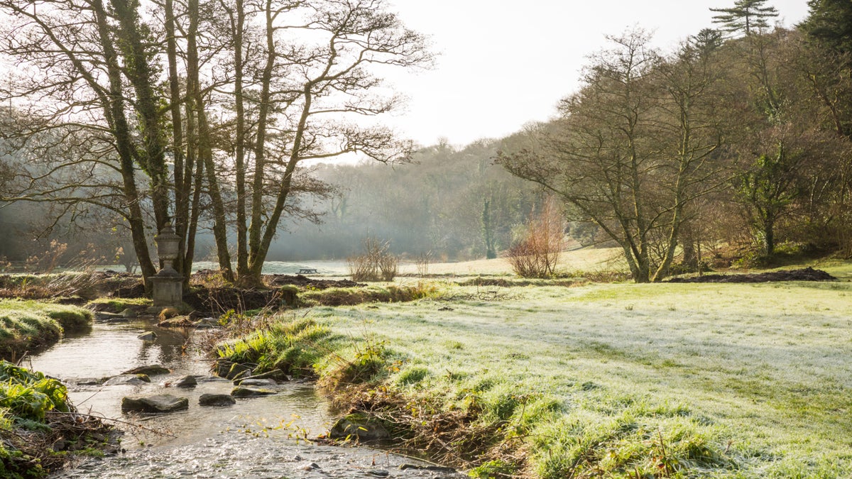 Visit the garden at Colby Woodland | Wales | National Trust