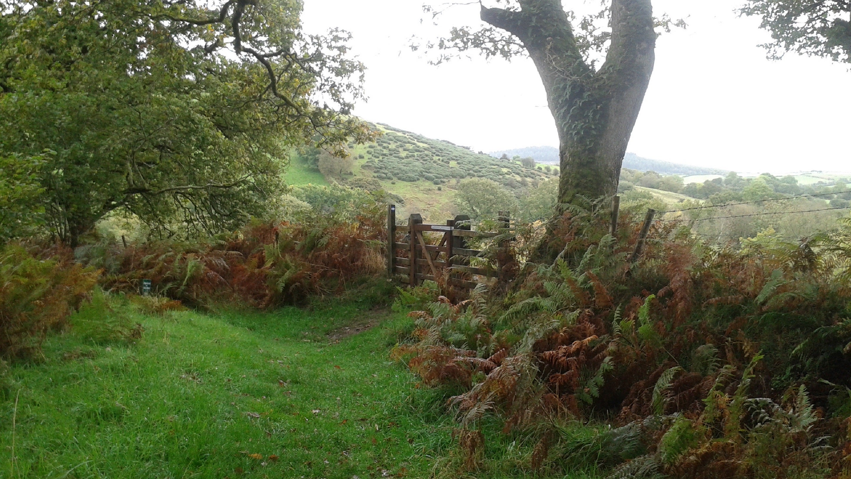 Dolaucothi | Carmarthenshire | Wales | National Trust
