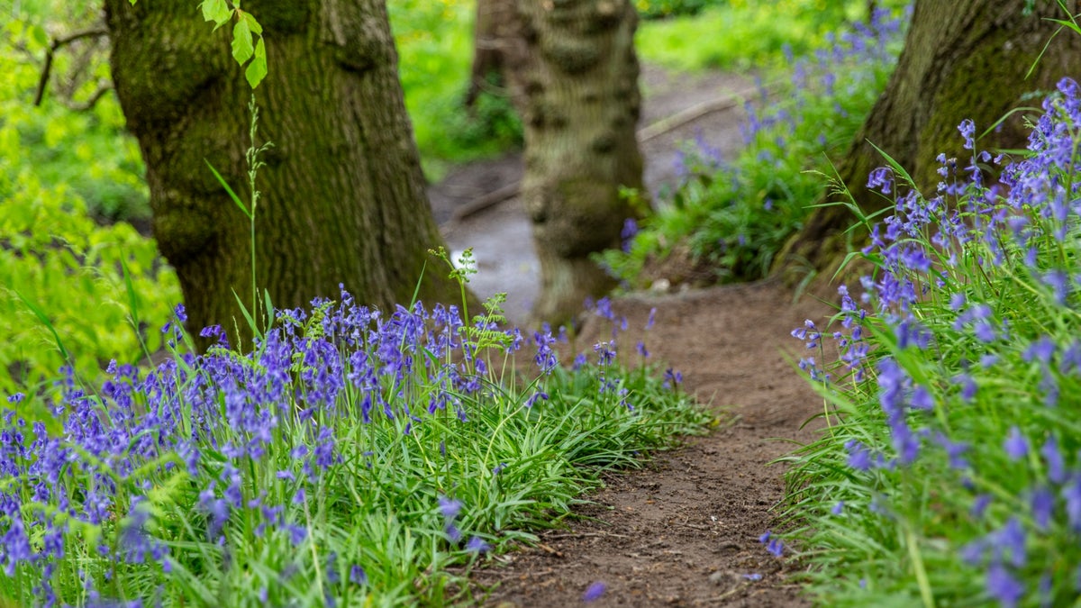 Visit the Dolaucothi Estate |Wales | National Trust