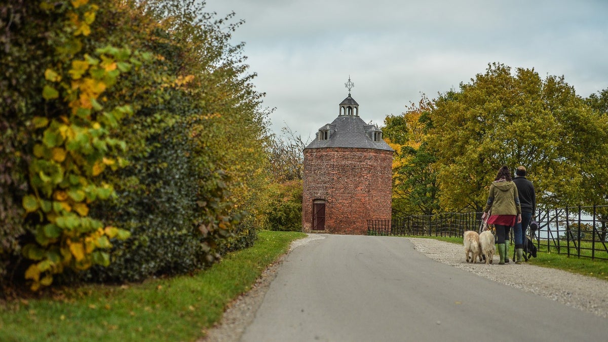 Erddig French meadow walk | Wrexham | National Trust
