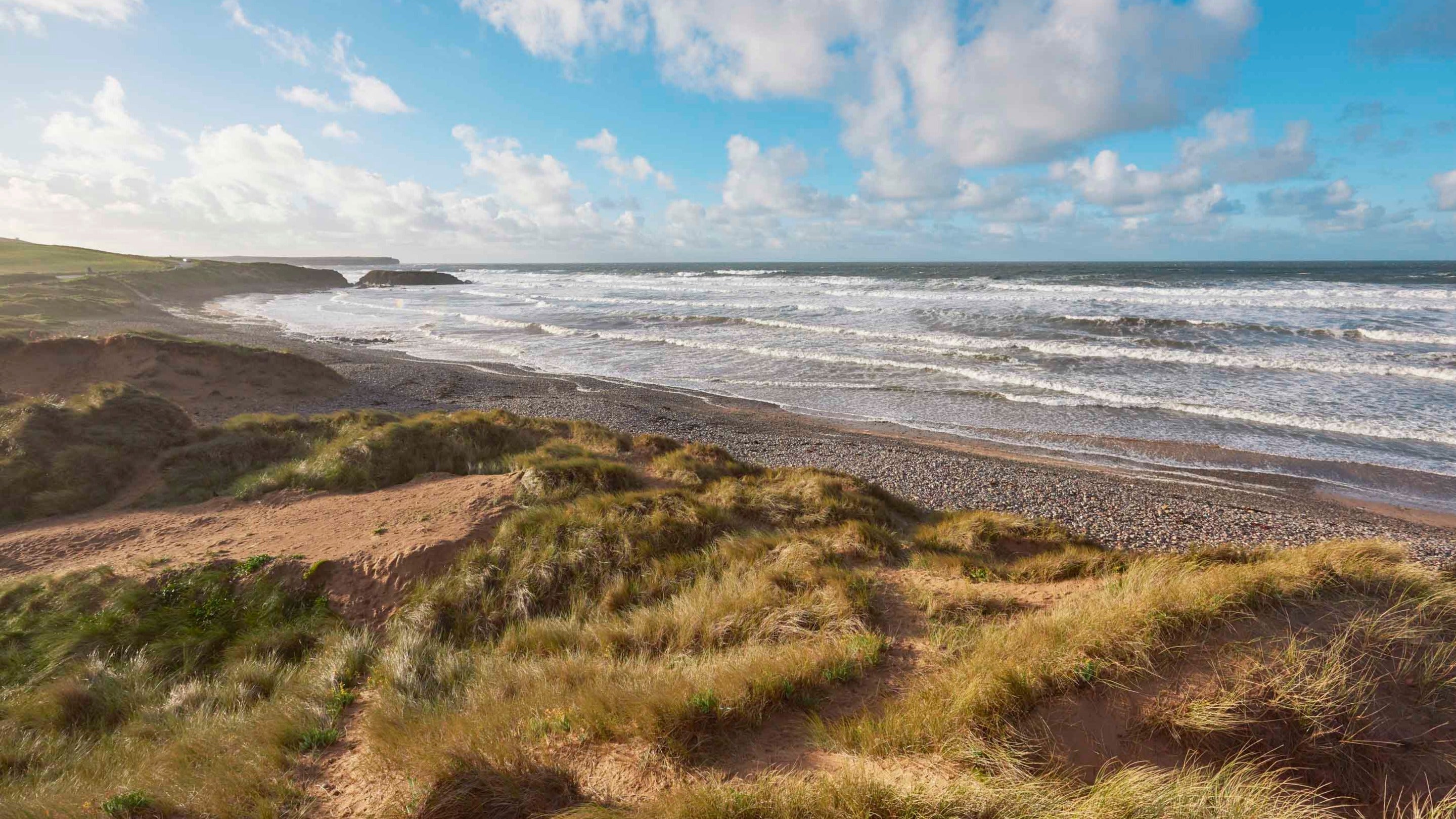 Gupton Farm Campsite Wales | National Trust