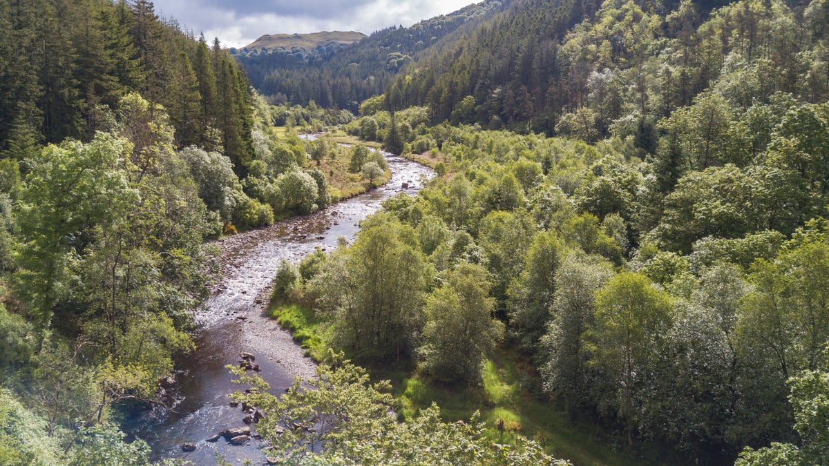 Discover the UK's natural environment | National Trust