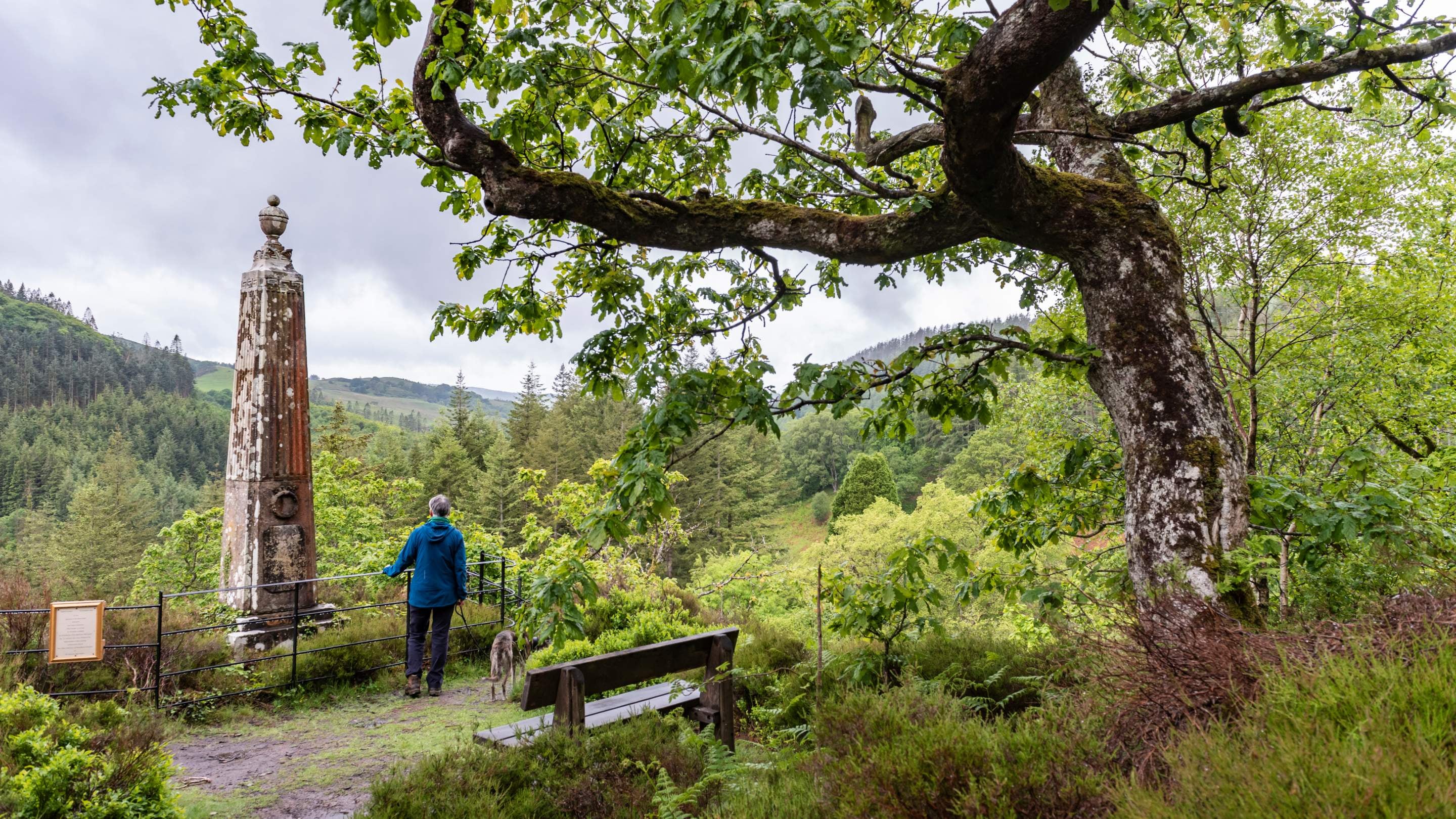 Hafod Estate | National Trust