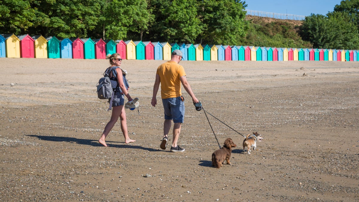 Visit Llanbedrog beach | Wales | National Trust