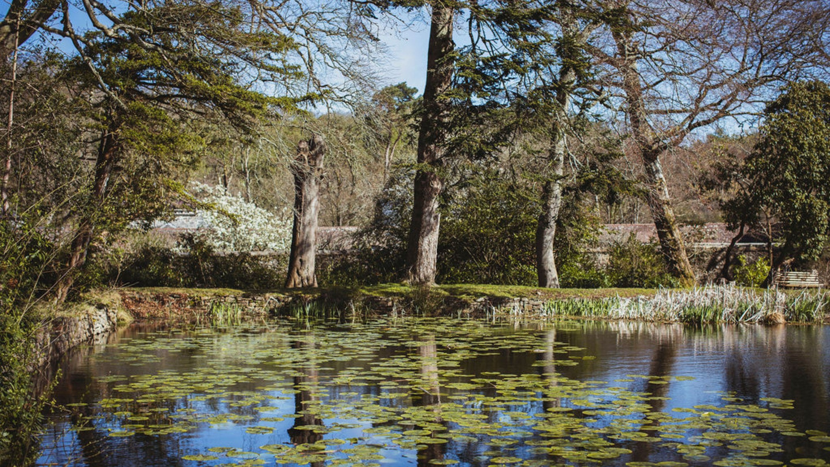 Gardens and parks in Wales | National Trust